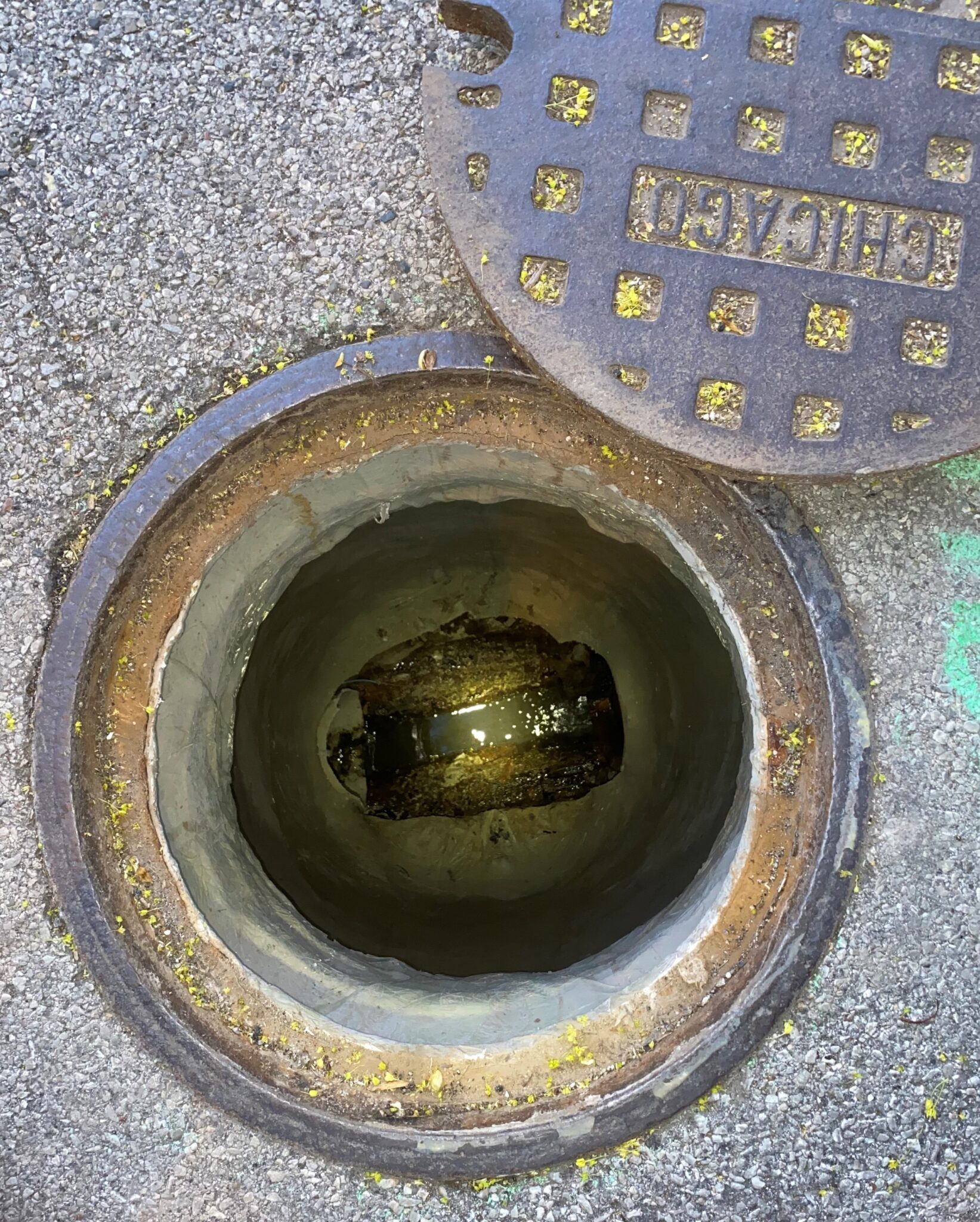Services - Sewer Tech Services